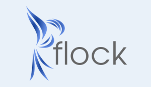 Event Report--Flock 2015