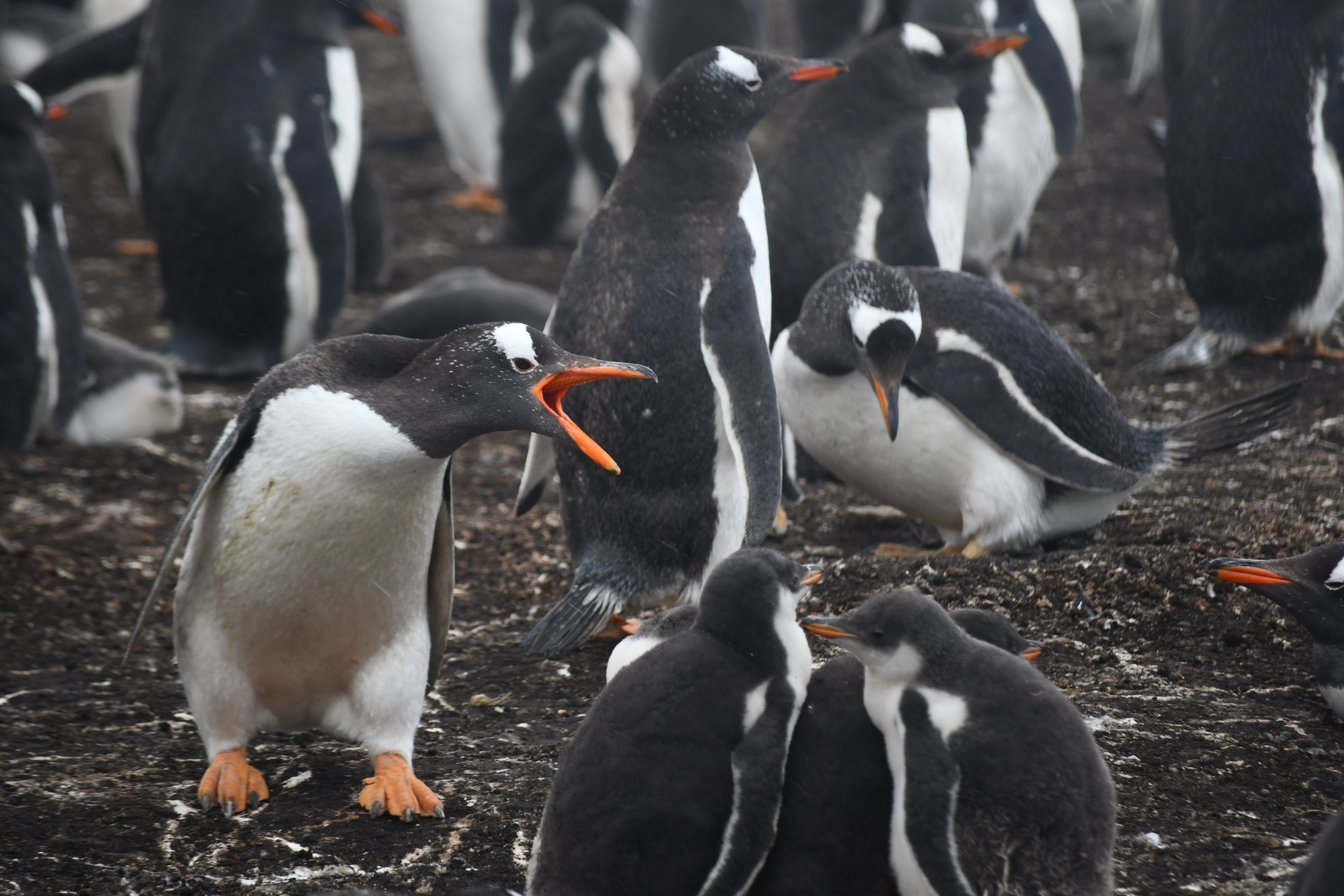 A Quick Reader Survey