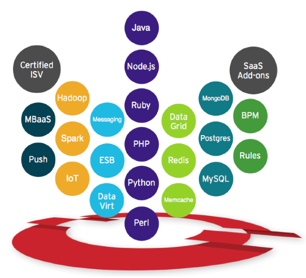 Transforming the Development Model for OpenShift and the Business Model ...