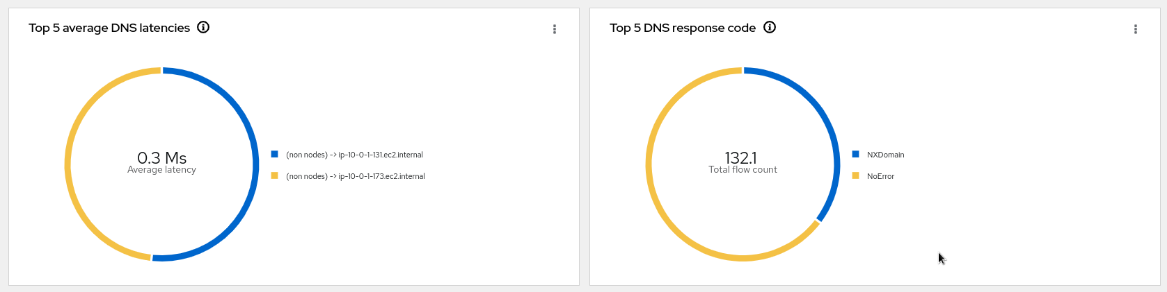 Network Observability per flow DNS tracking