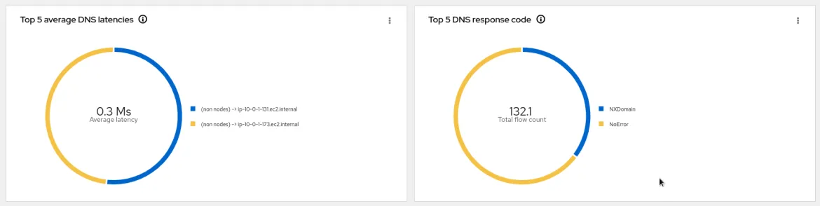 Network Observability per flow DNS tracking