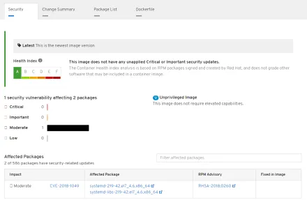 Security and Vulnerability Scanning of Container Images