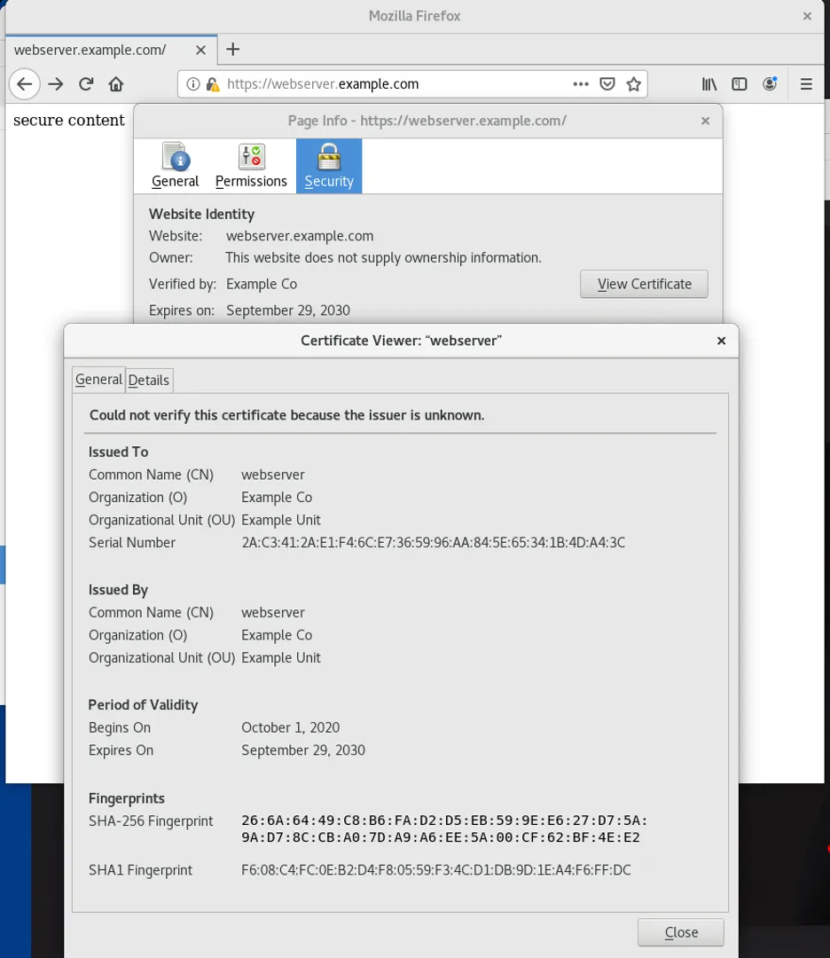 Setting up a webserver to use HTTPS