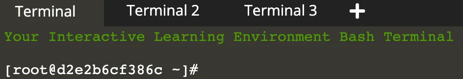 Try 'labs as a service' to learn Linux in the cloud