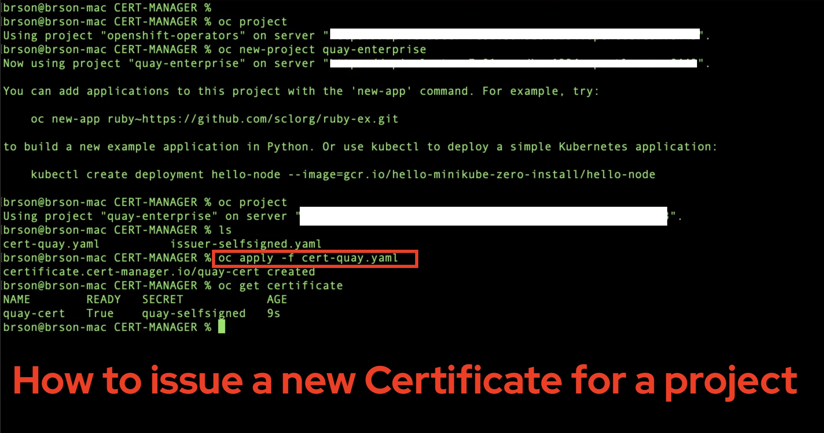 How to create a TLS/SSL certificate with a Cert-Manager Operator on ...